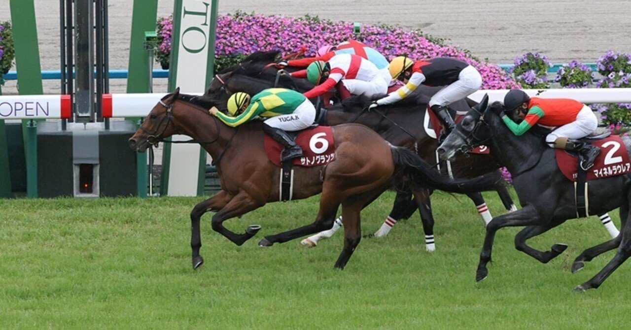 【2024 京都新聞杯（G2）】徹底的に攻略データ篇｜Haya