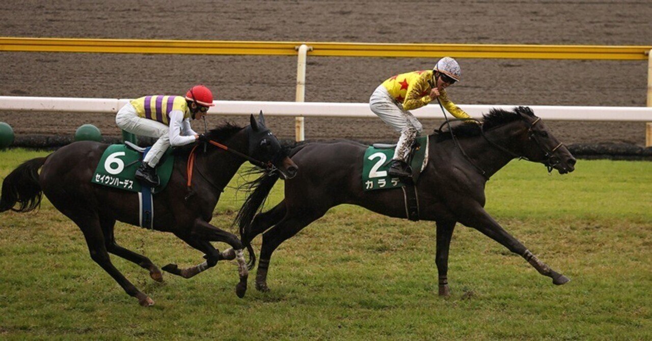 【2024 新潟大賞典（G3）】徹底的に攻略データ篇｜Haya