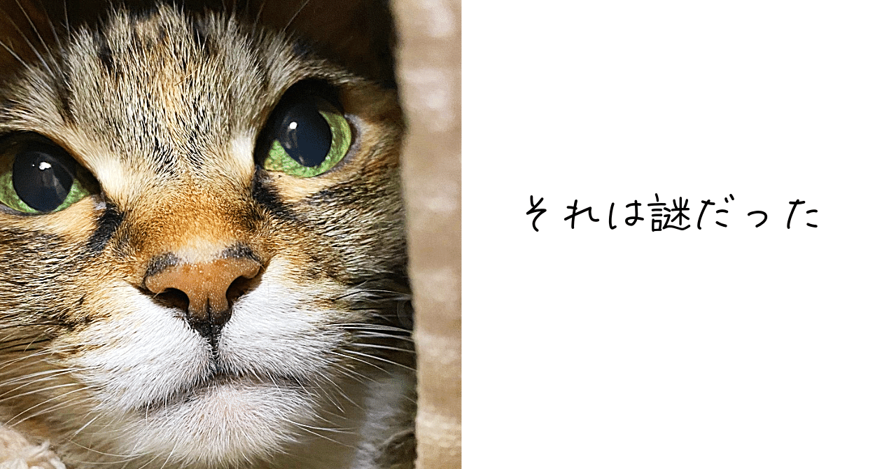 リフォレスターの土に虫が繁殖しない謎｜Ms'HIRO