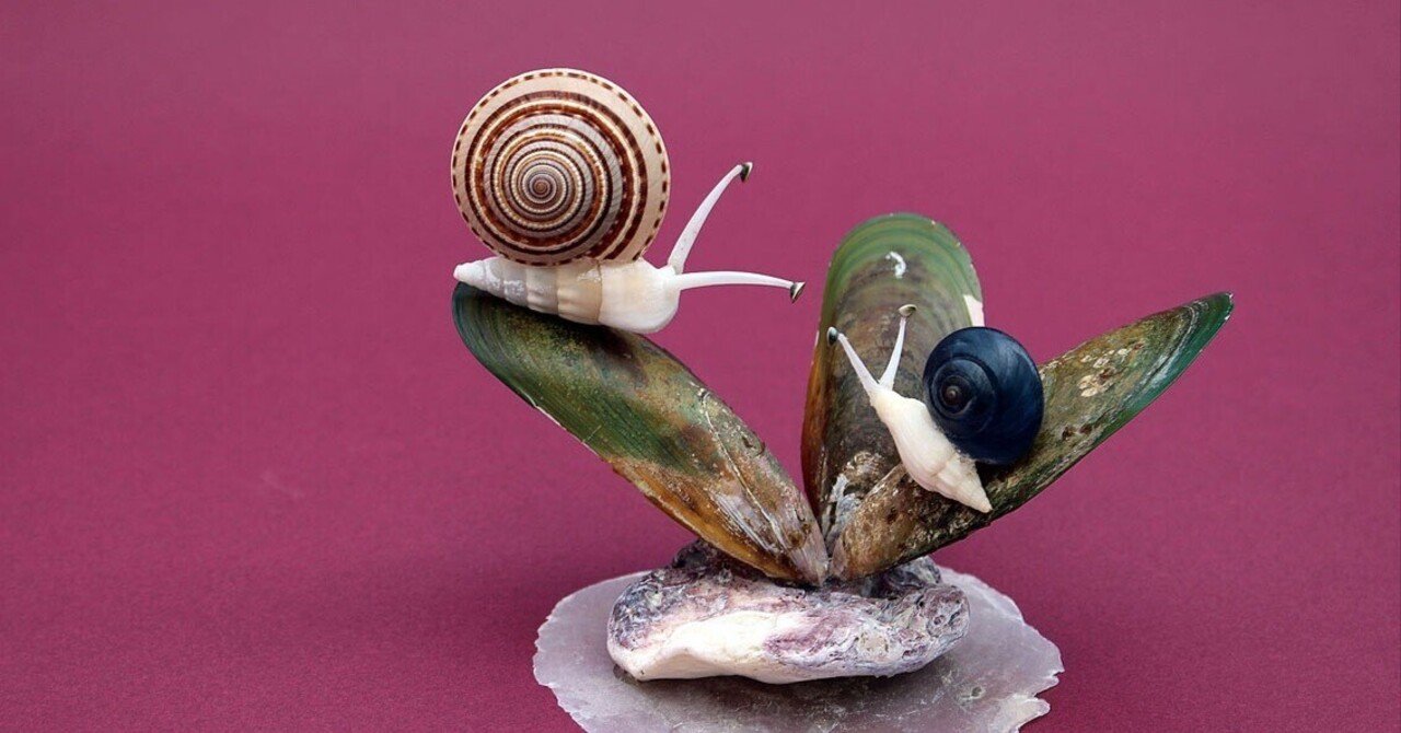 『でんでんむしのかなしみ』｜zoo_shell