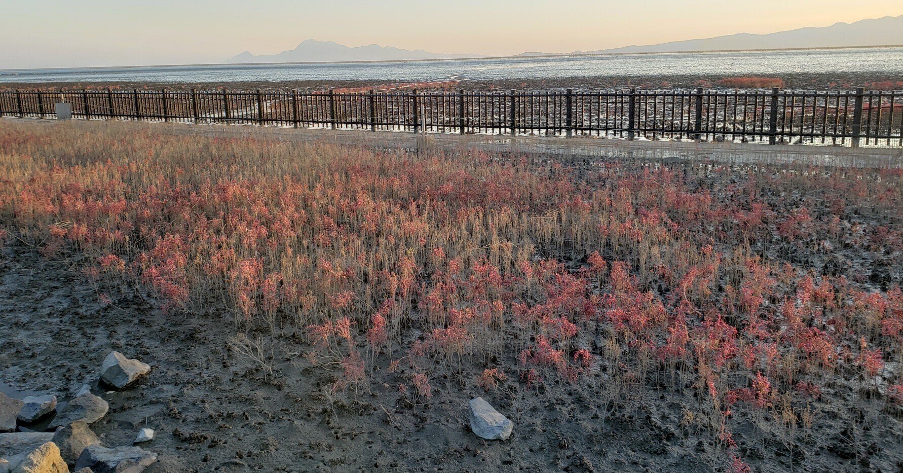 Tak-NAKADIN@Chiba｜note