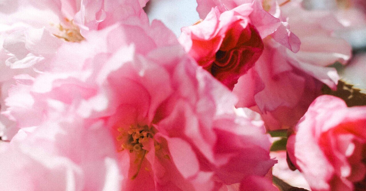 米谷隆佑｜Yoneya Ryusuke｜note