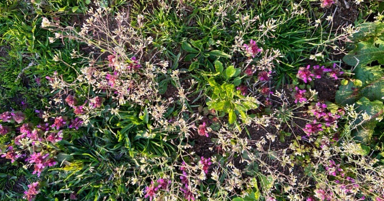 一瞬の感情の先の景色｜yuka/sora