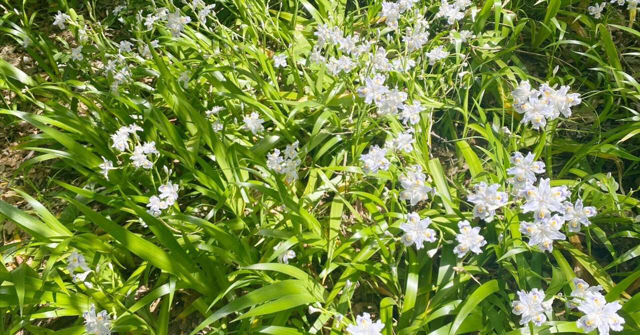 未来が先にある｜Ai Kondoh