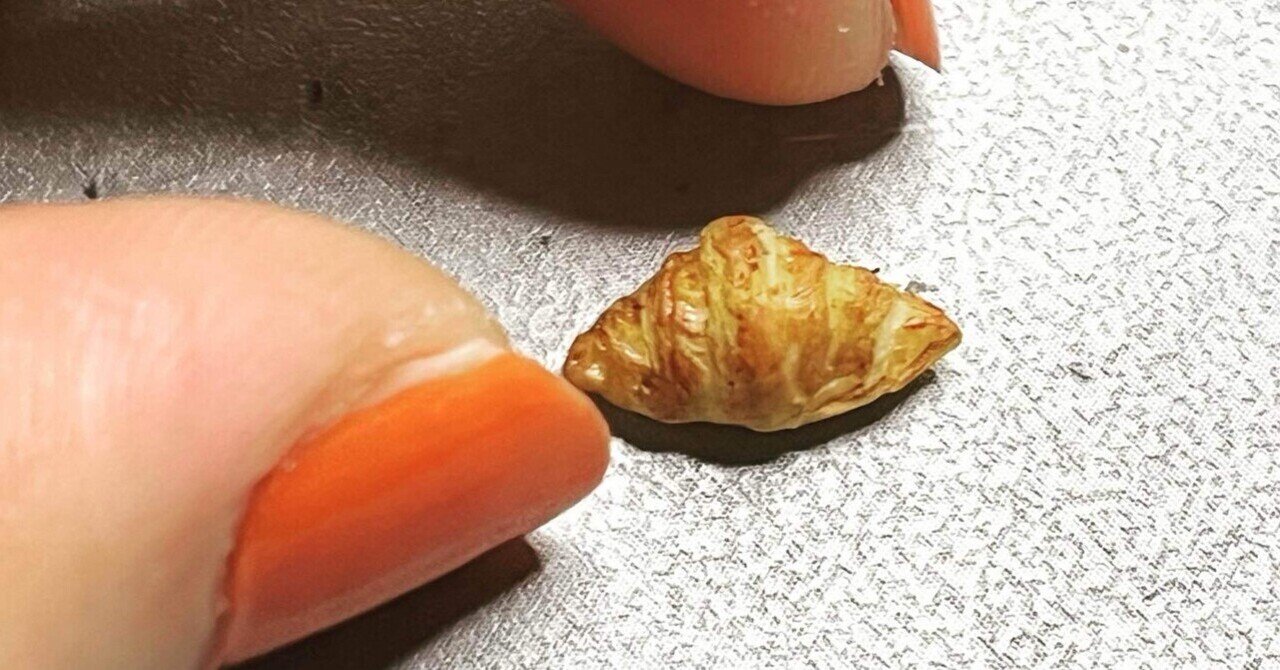 親子で読む本｜RICCO HOUSE