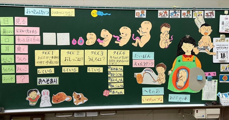 おへそのひみつ（最後の授業その①）｜天願こずえ