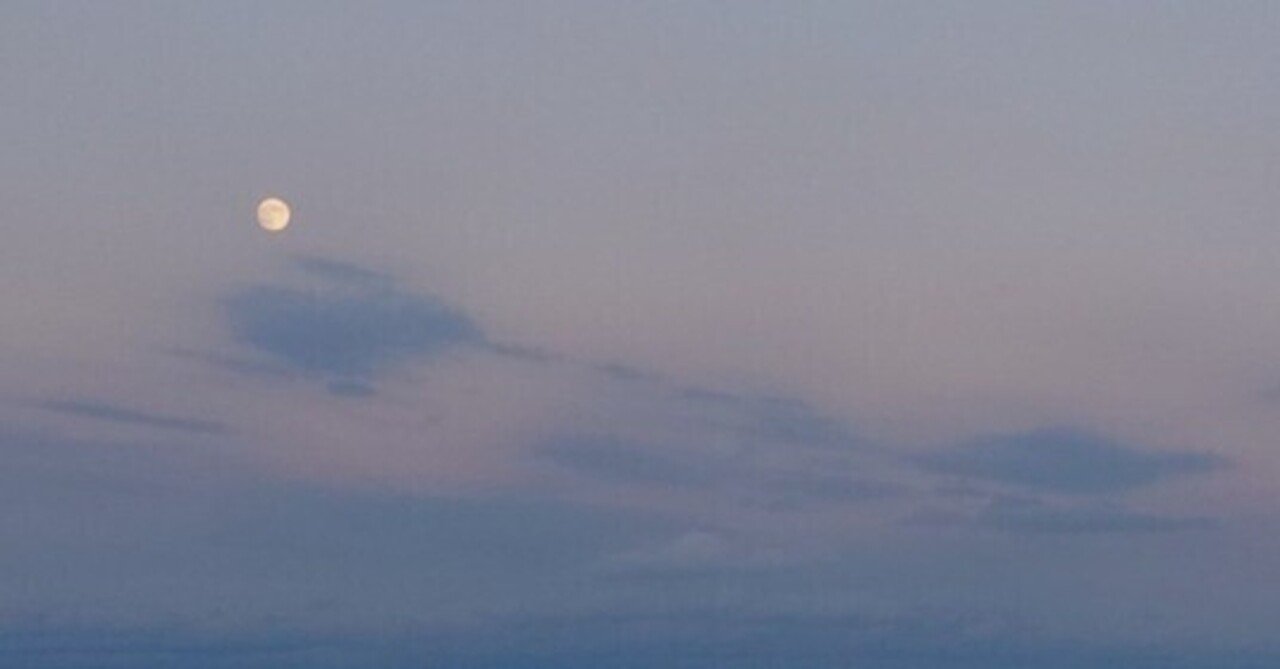 Netflix_「Deliver Me：届かぬ叫び」をみた。｜ウズラ