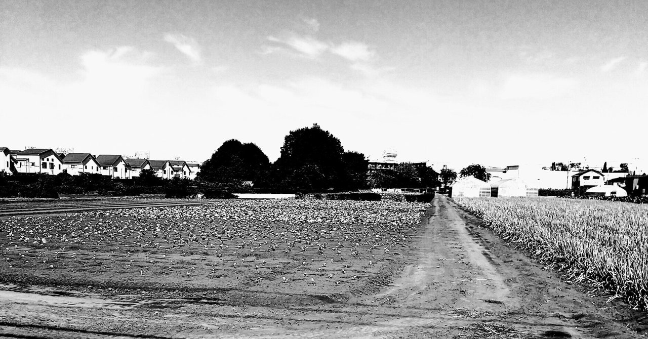 UNWIND&KOMOREBI｜note