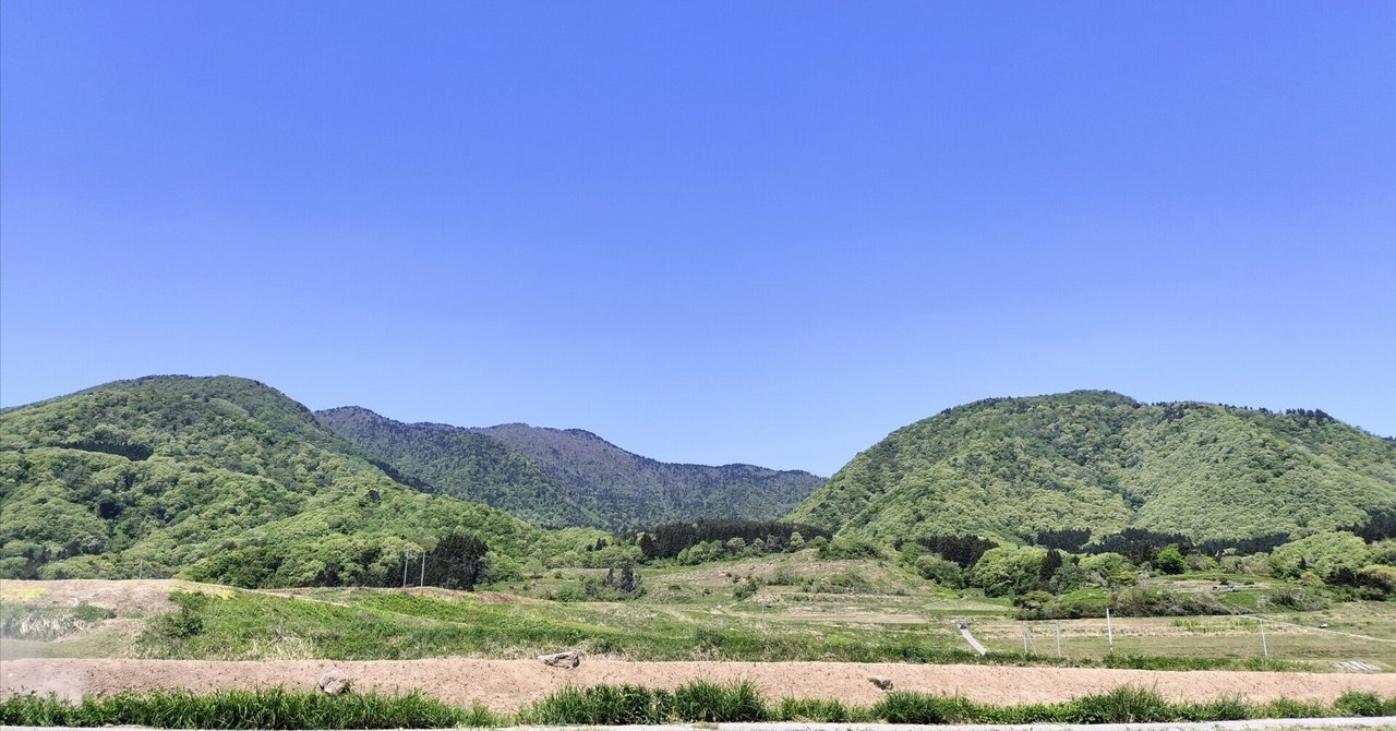 sachico tanabe｜note