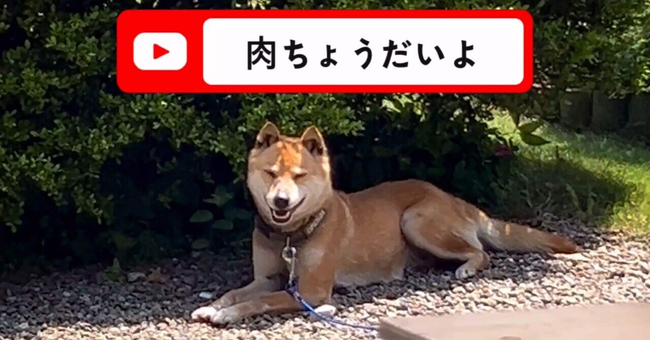 肉ちょうだいよ｜Daisuke_Noda