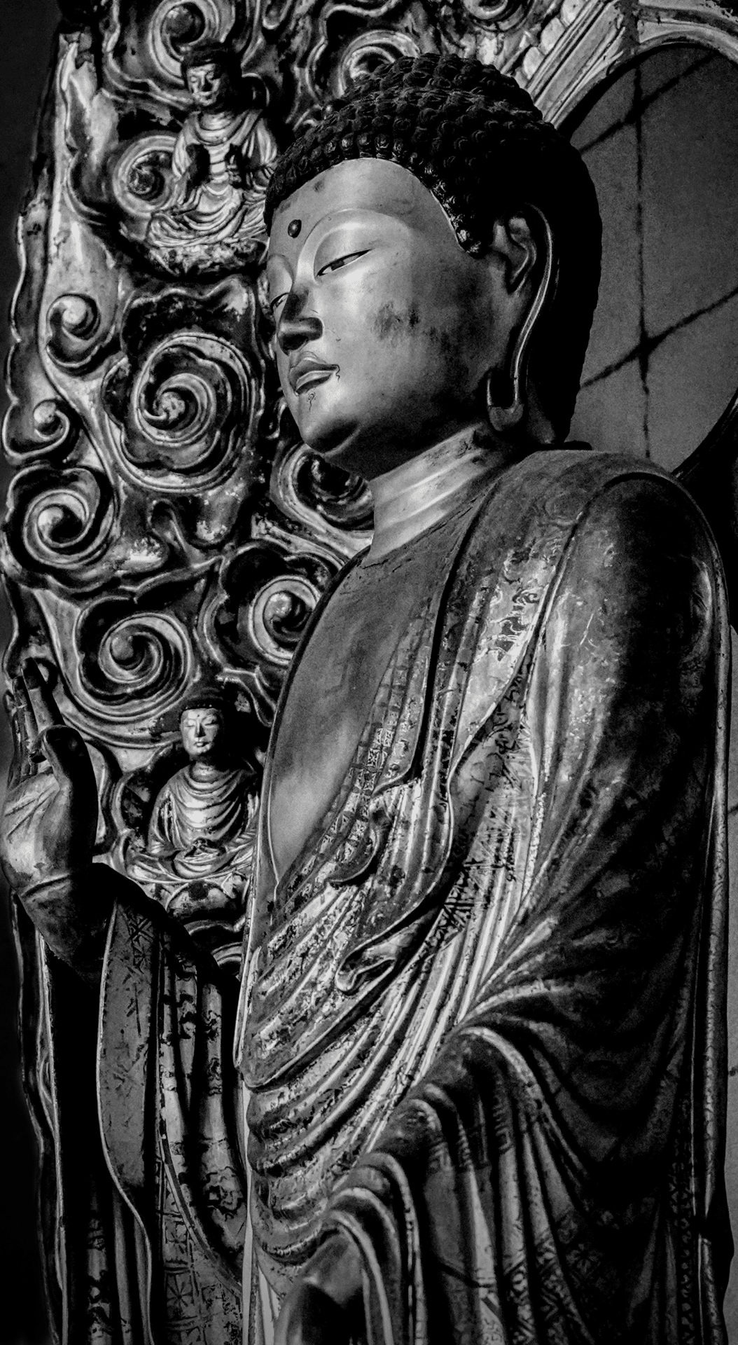 慧眼｜Yutaka Kano