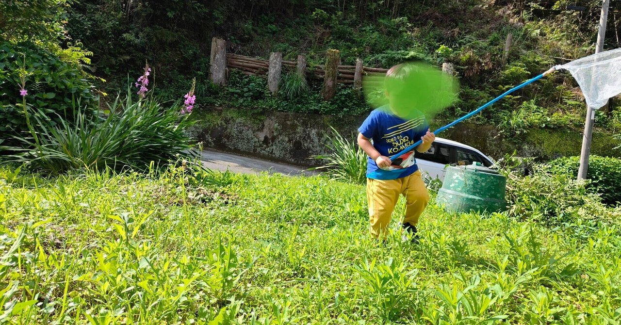 あ！虫だー♪｜yocchi@akn