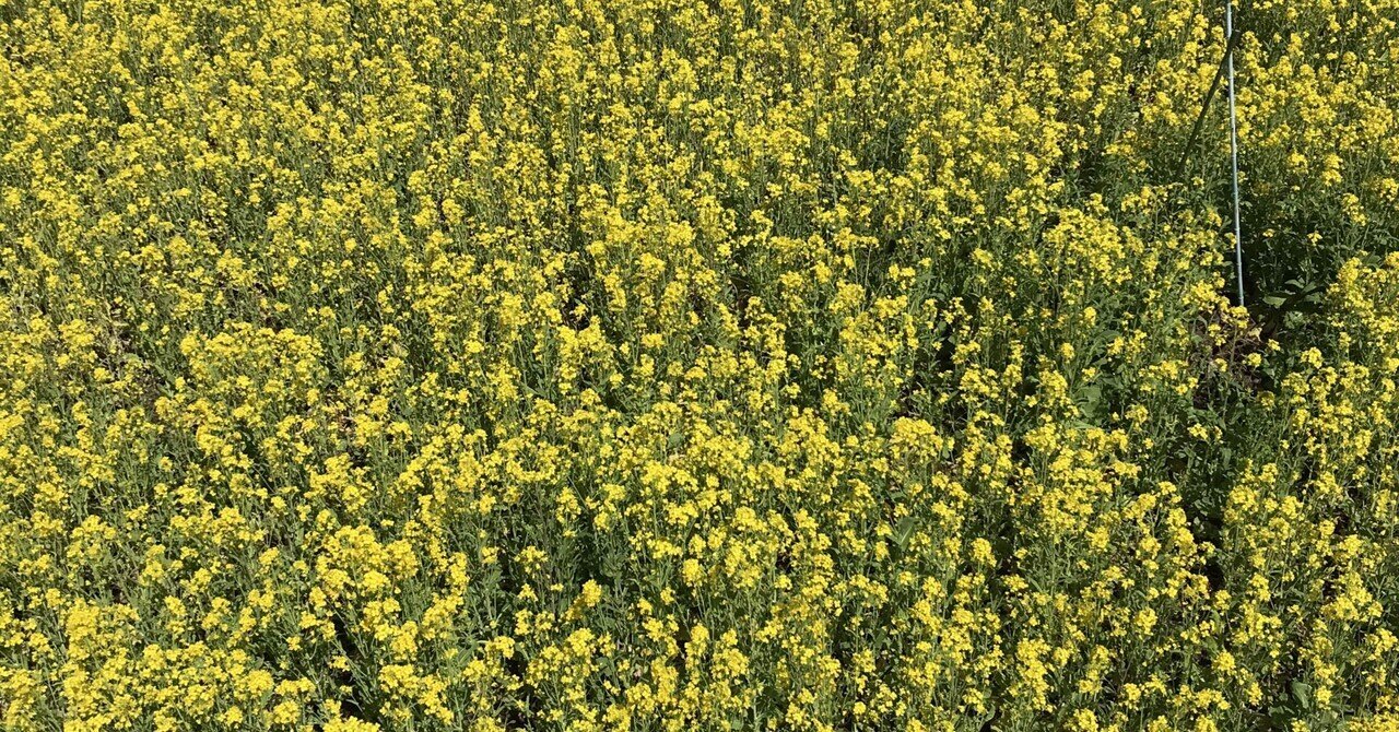 暁月さんのインスタ｜oitoma