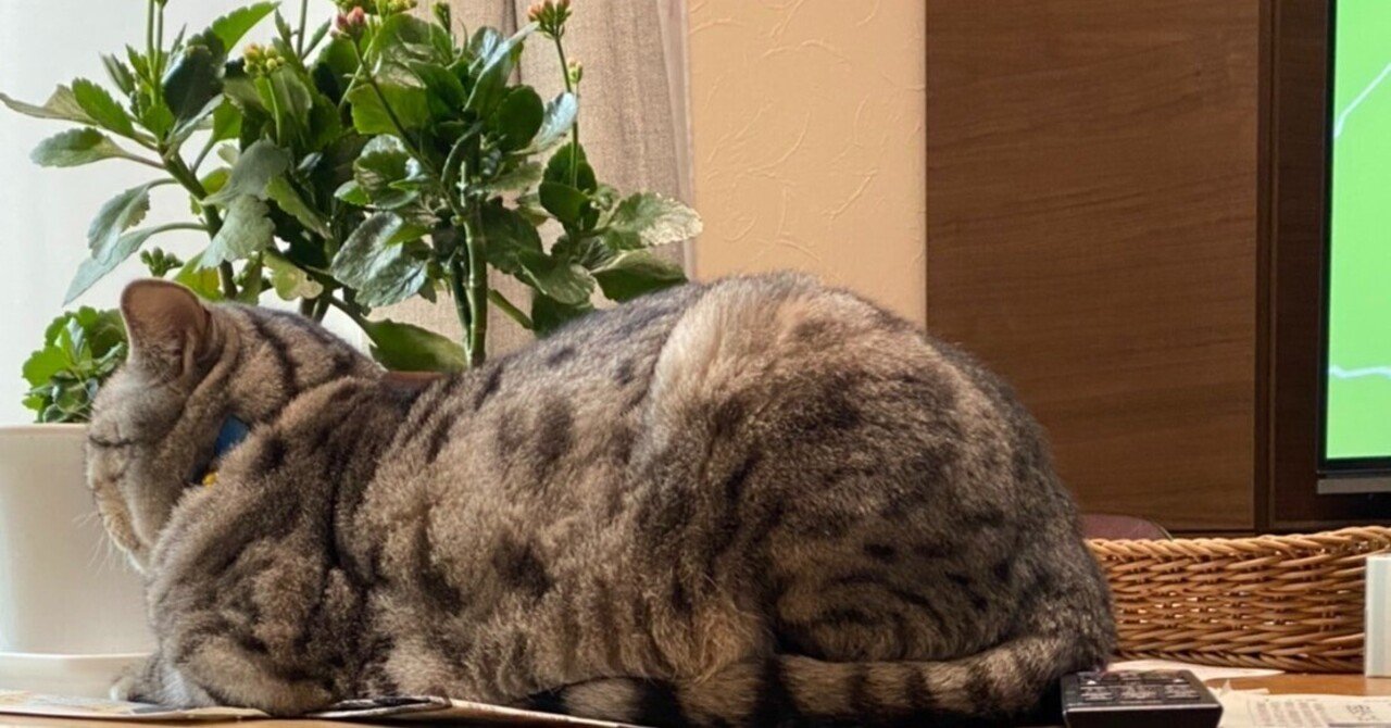 あかね空の散歩道｜yas｜note