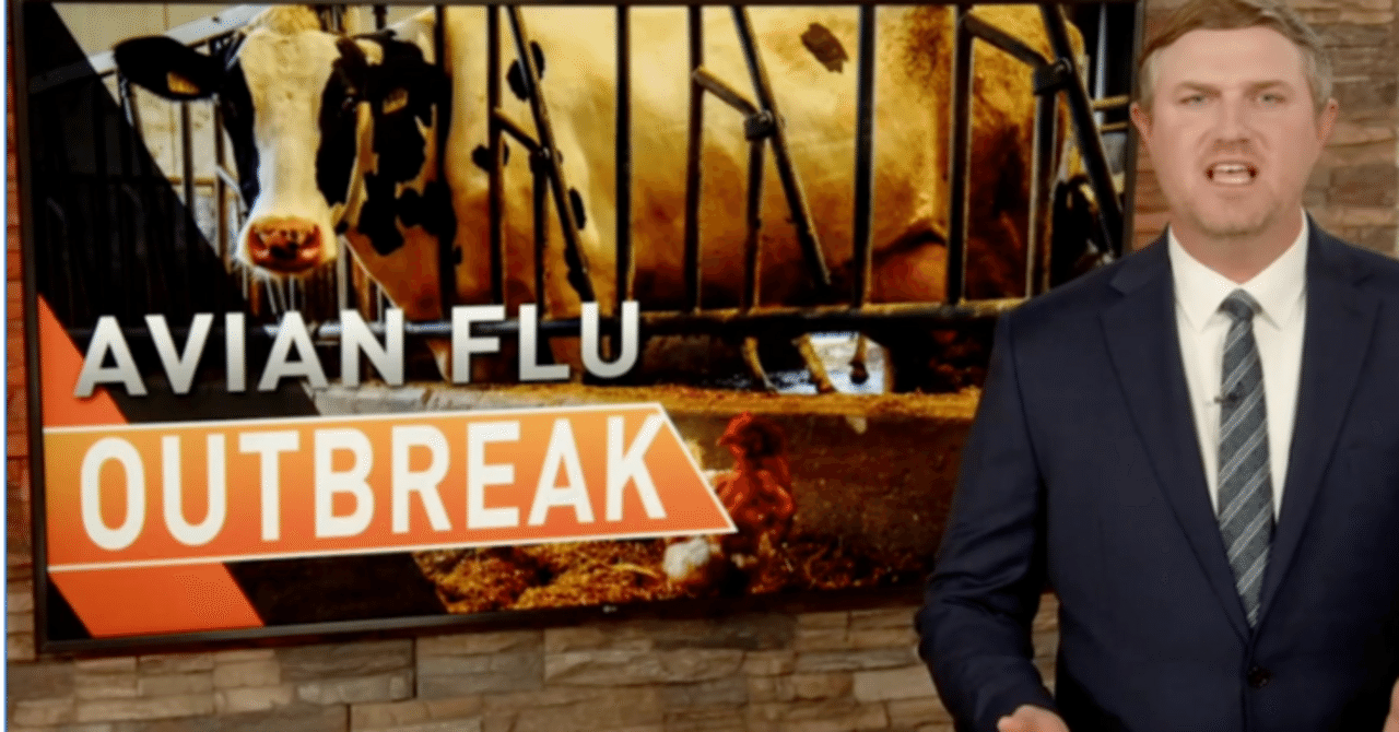 Dr Pilon (パイロン先生)｜note