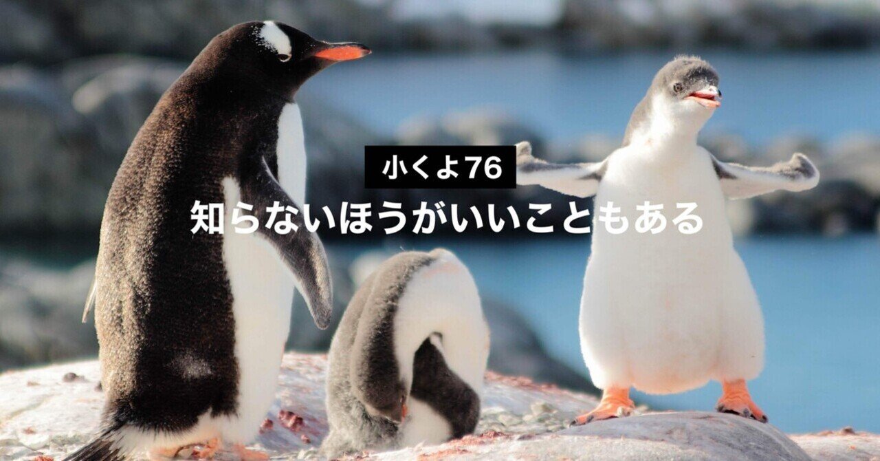 小くよ76 知らないほうがいいこともある｜SUNMARK WEB