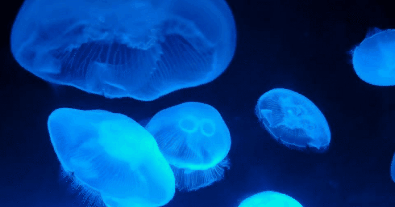 考察しがいのある『タイムマシン』(SEKAI NO OWARI)｜とんぼ