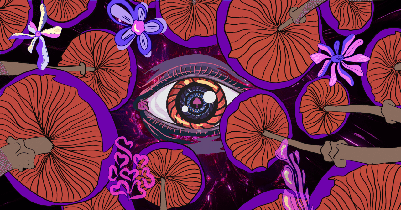 アルケミストハウスがオープンしました｜Mariko Takeuchi