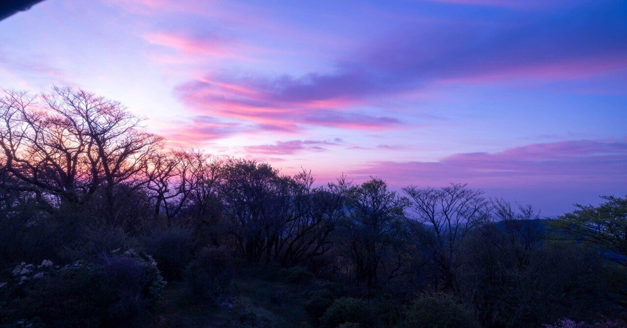 日記:2024/05/06｜mutaro