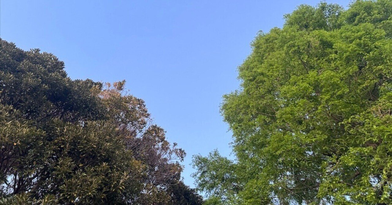 happea-nyanko｜note