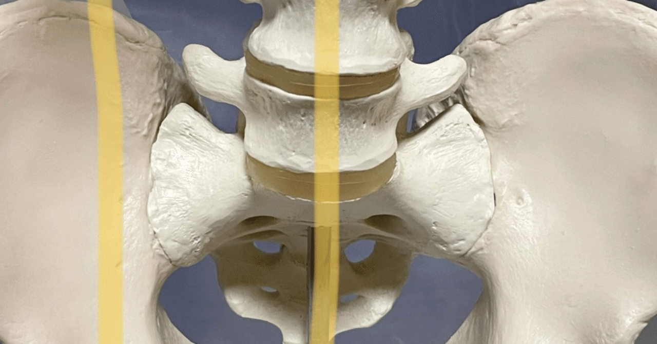 Men'sがペルヴィスやってみた。｜Sadananda Tomohiro