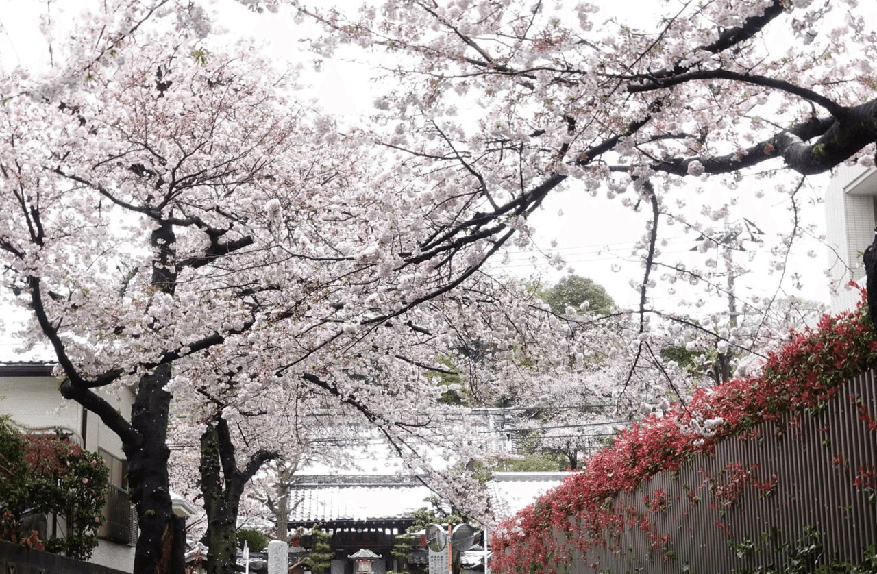 Soh Igarashi / 五十嵐創｜note