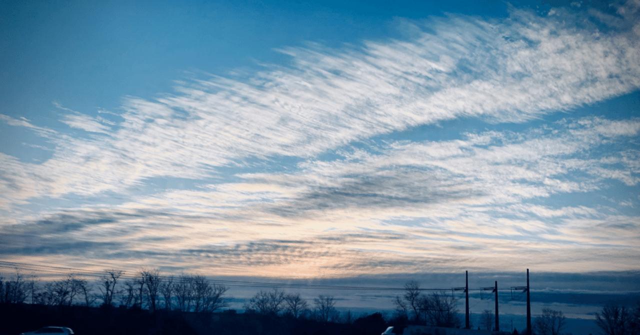 グリーンブックを観た｜teppei