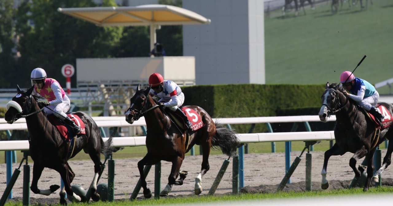 【京都新聞杯（g2）回顧～その先へ】日刊コンピ篇｜haya
