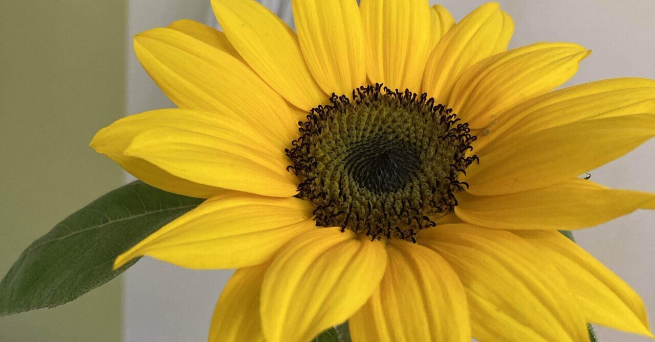 効率悪い家づくりのススメ｜tatsuki_ie