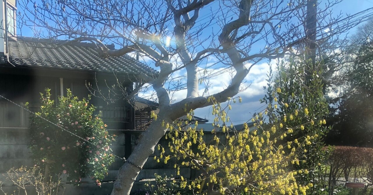 いいかい。｜TaoKo