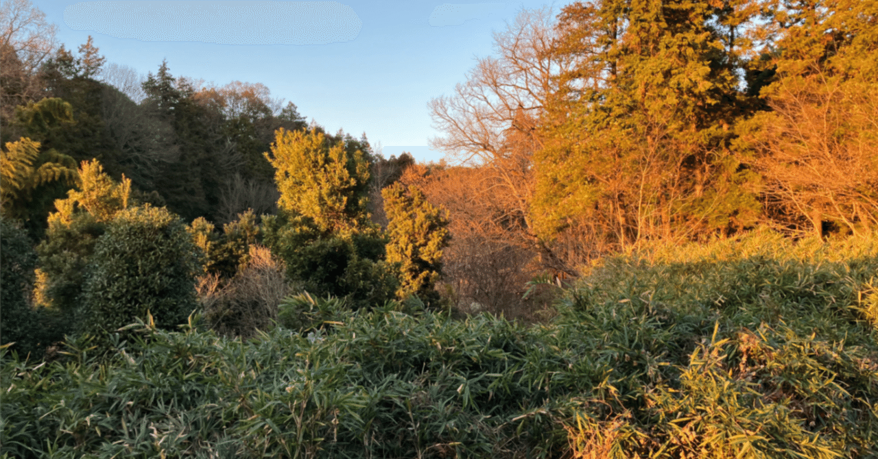 マツオヤスヒロ（Yespee）｜note