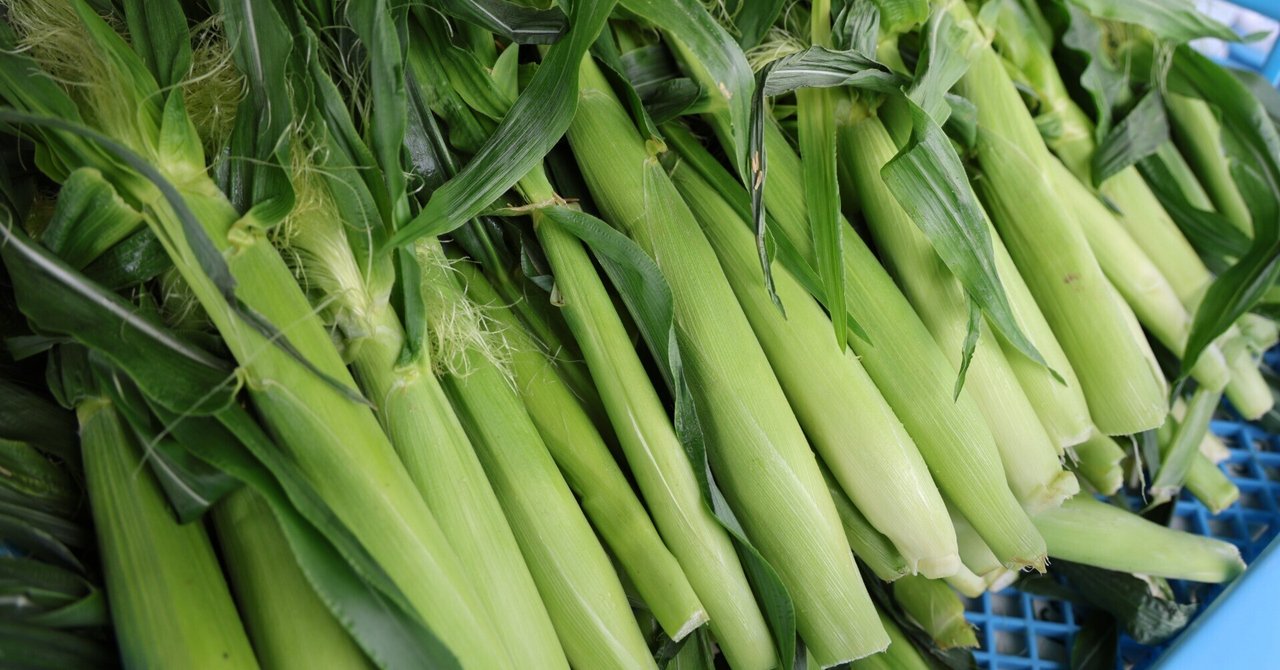 NicePapa 平野 尚志｜note