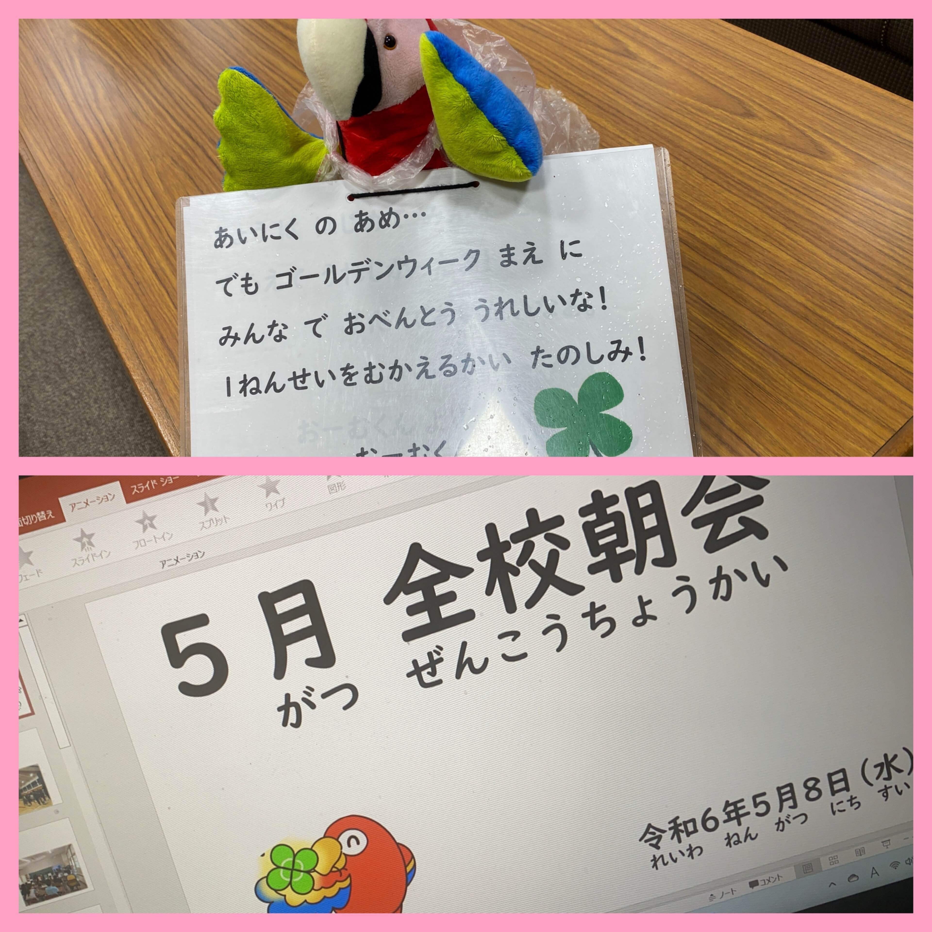 感じて動くおーむちゃん！vol.542｜おーむちゃん