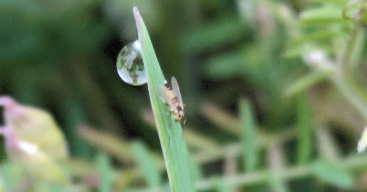 第3巻275番~作者 高市黒人｜ichiro70