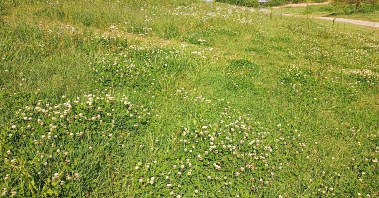 WBPCの基本情報を調べてみた｜_tadamono_