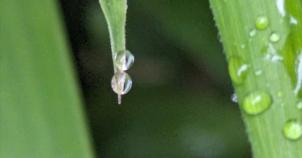 泣いたり笑ったりのショート動画｜ichiro70