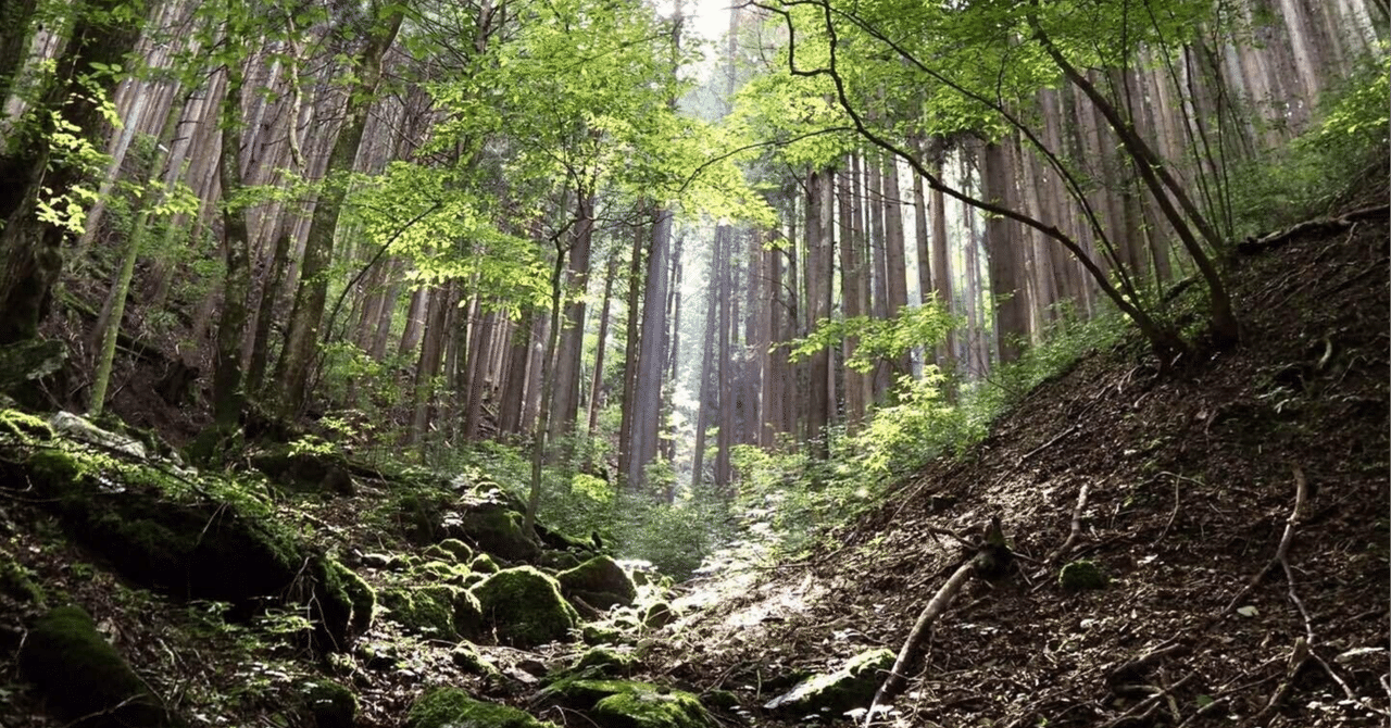 キャリアという名の迷路｜Yuria