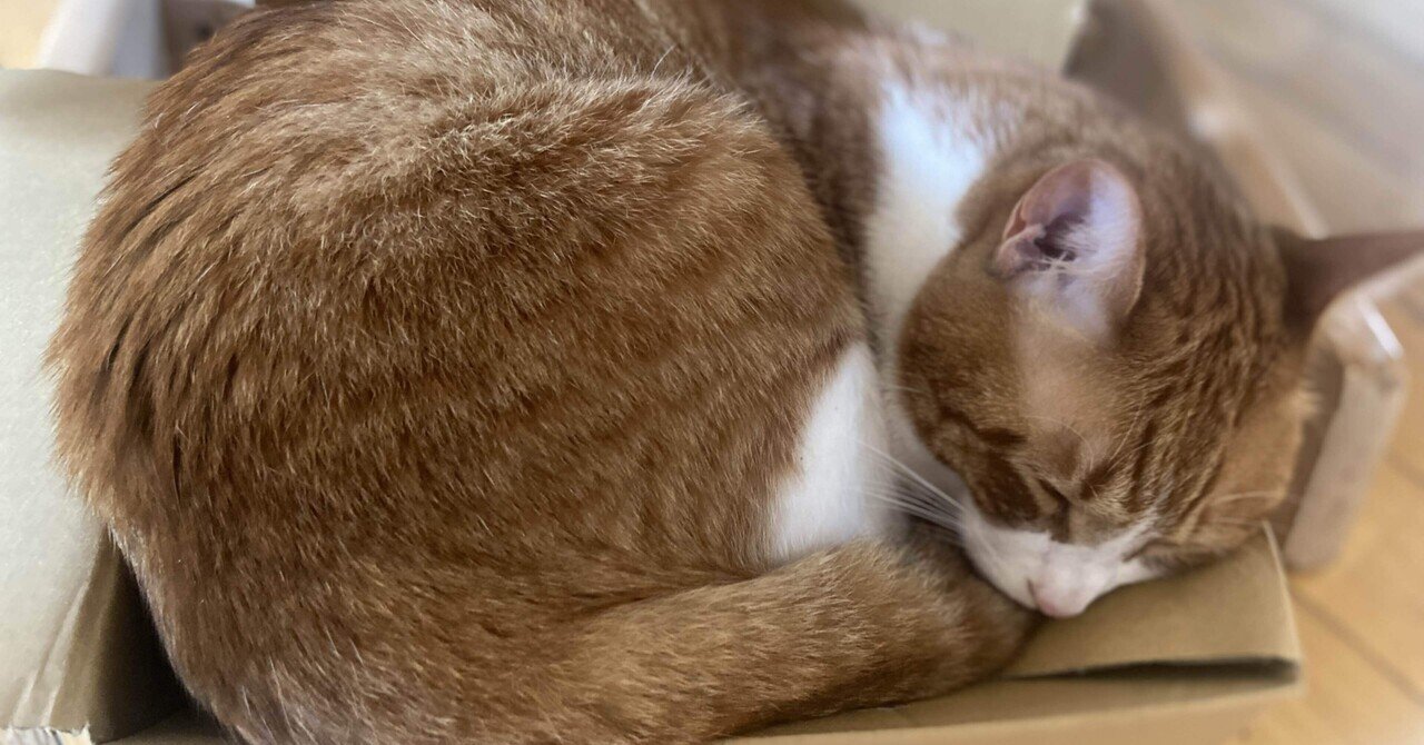 日記:2024/05/07 2｜mutaro