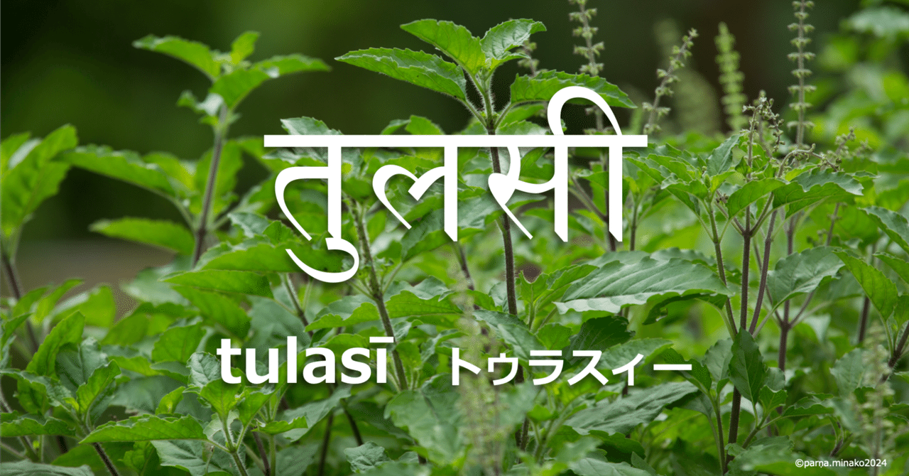 parṇā_minako｜note