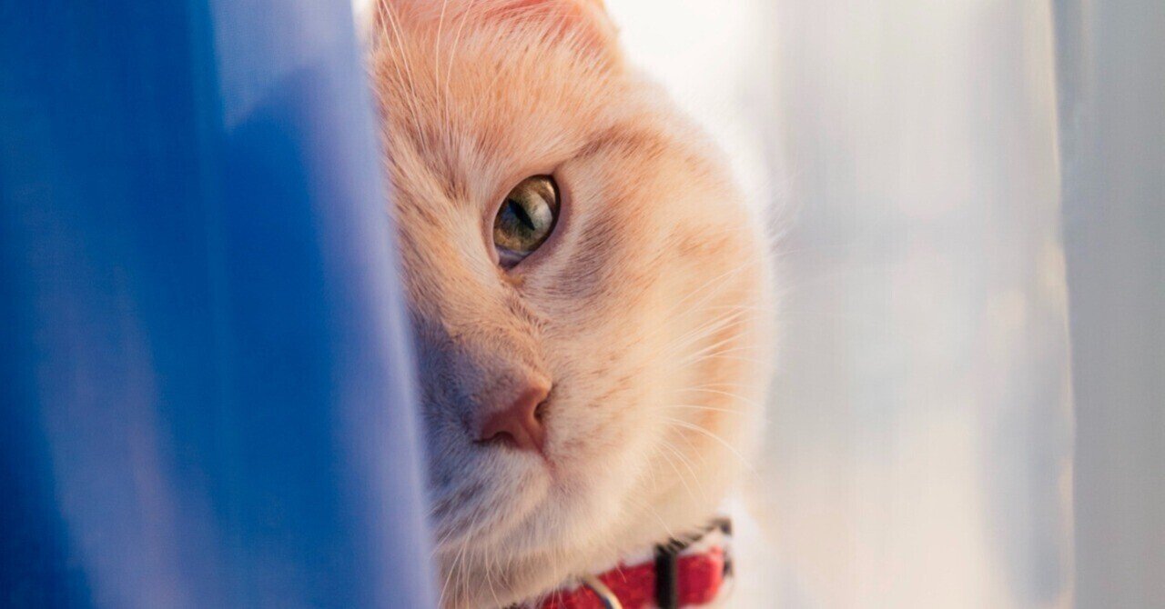 機能性表示食品データベース（I1396～I1403）｜Tossy（とっしー）