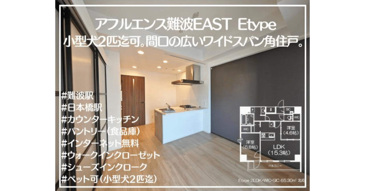 なんば。ペット2匹迄可。食品庫もあるお部屋│アフルエンス難波EAST 2LDK 65.30㎡｜バッカス不動産代表 下園