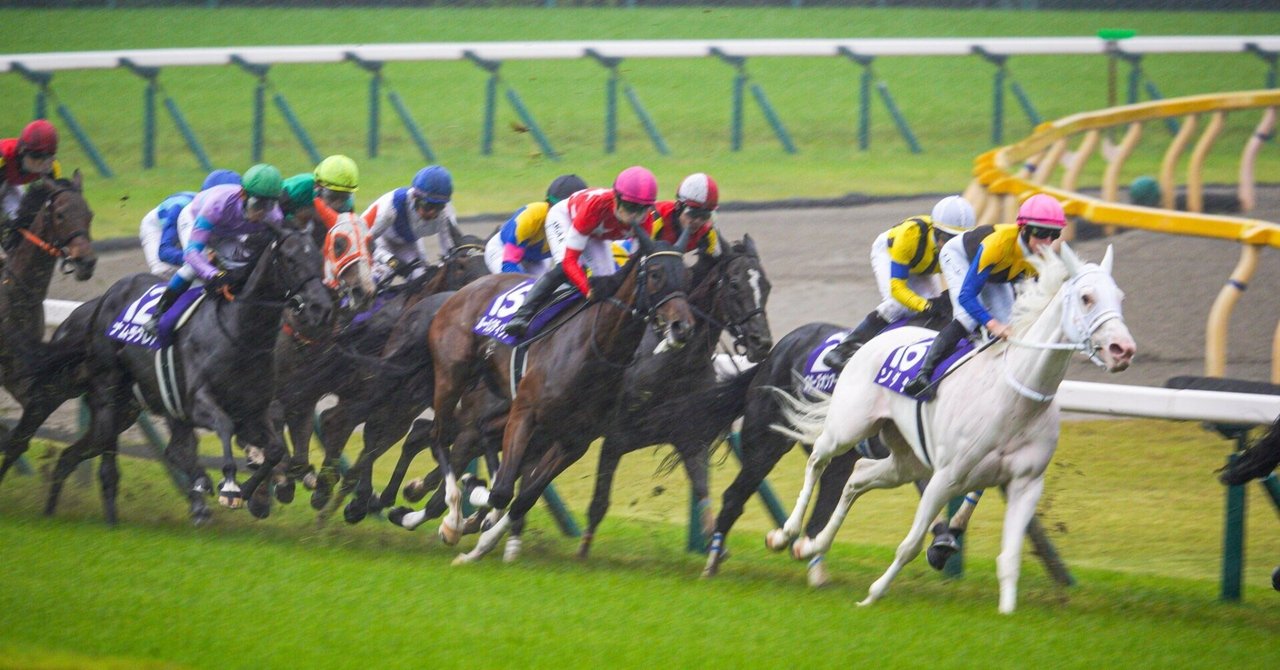 【2024 ヴィクトリアマイル（G1）】徹底的に攻略データ篇｜Haya