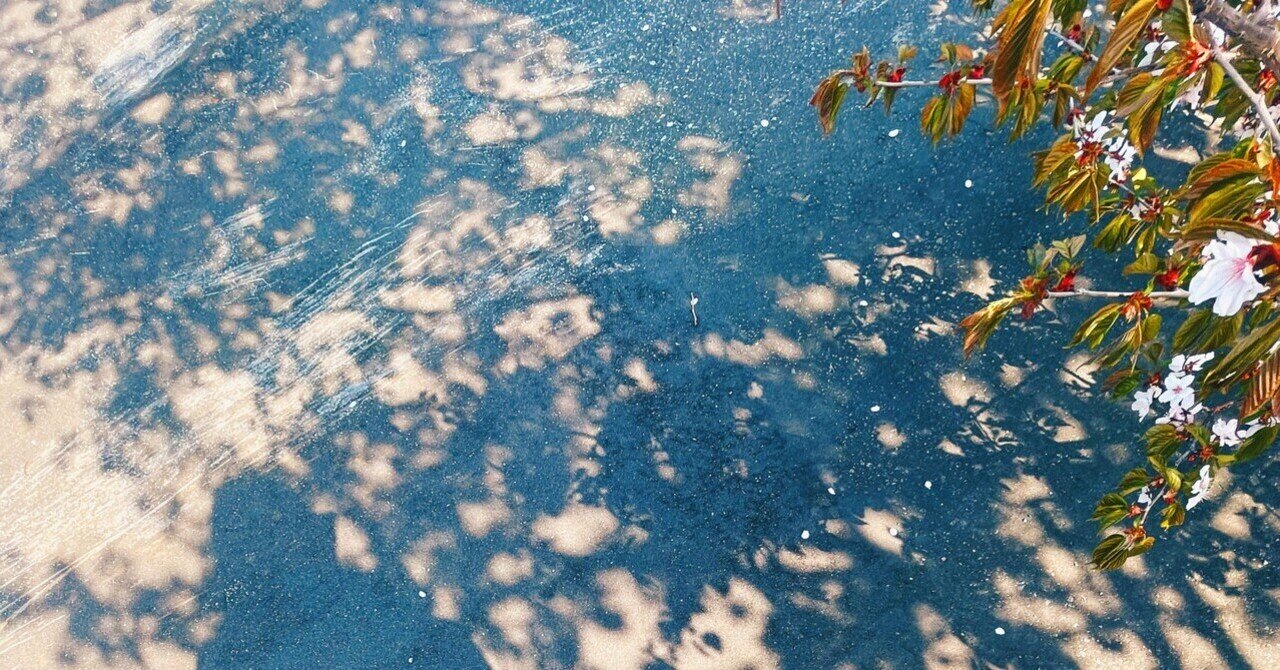 shibata（nozomi）｜note