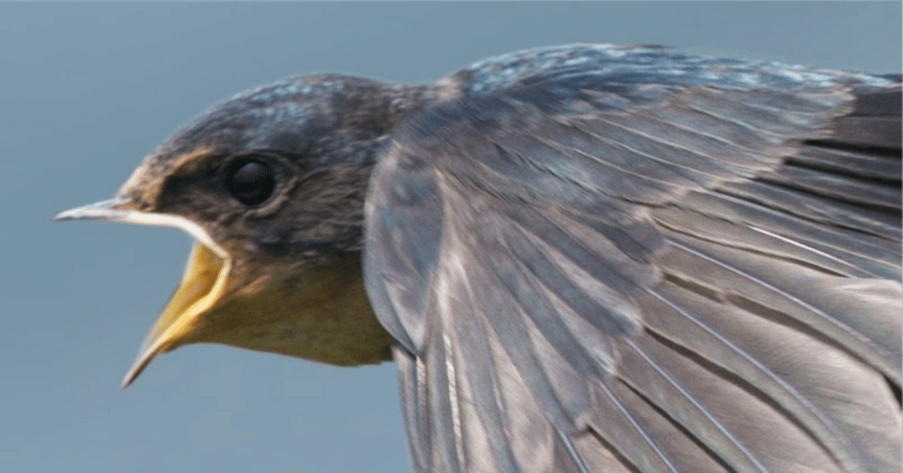 西尾久Screaming｜note