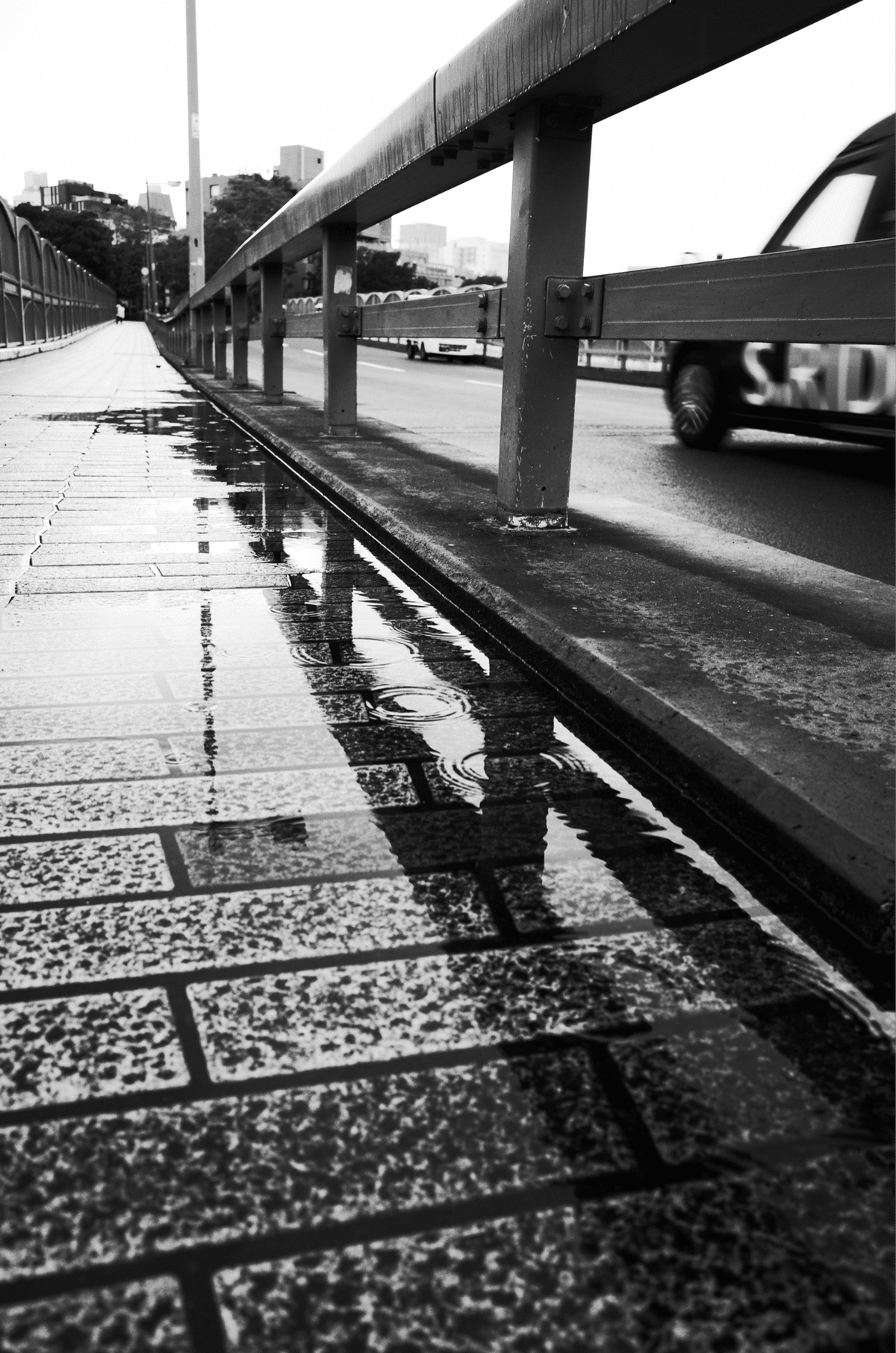 Feels like no one is here in Tokyo｜Chihiro Sava