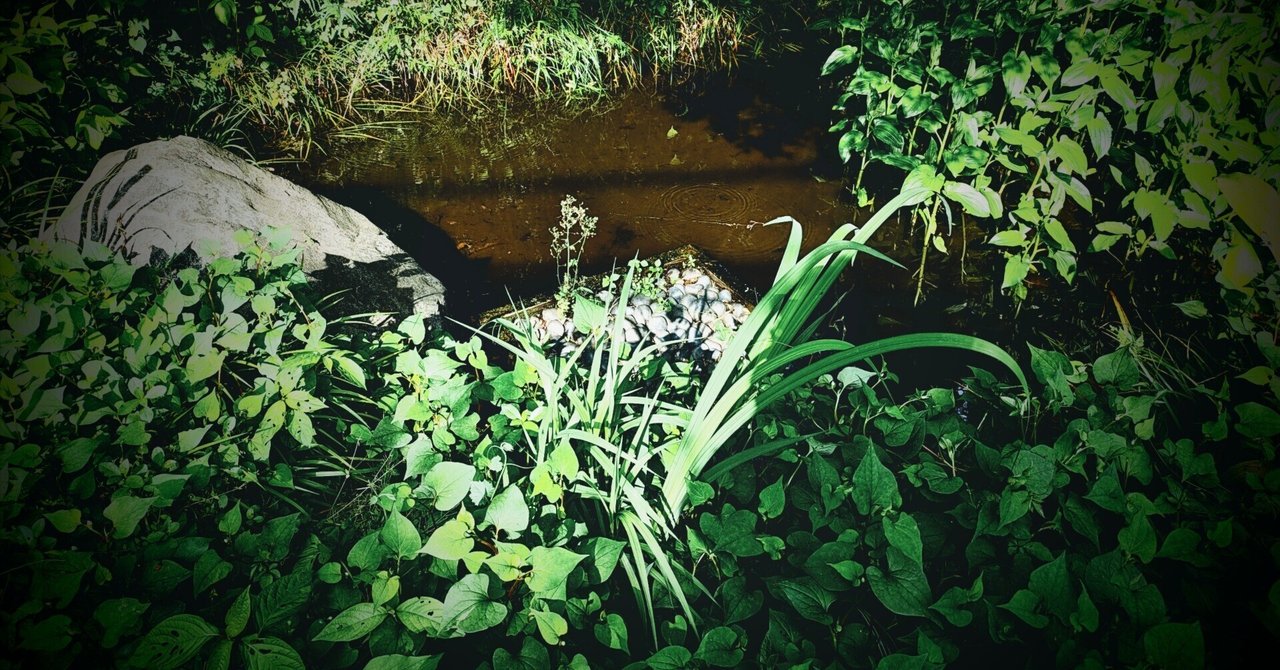 UNWIND&KOMOREBI｜note