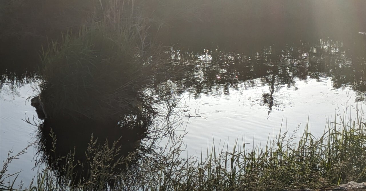 第3巻279番~作者 高市黒人｜ichiro70