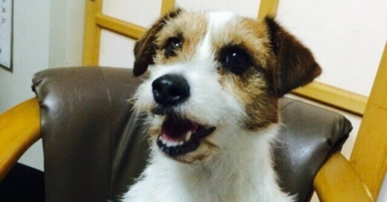 2 あんずお人形遊び ｜I am Anzu.