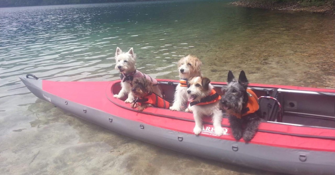 こんにちは、はじめして｜I am Anzu.