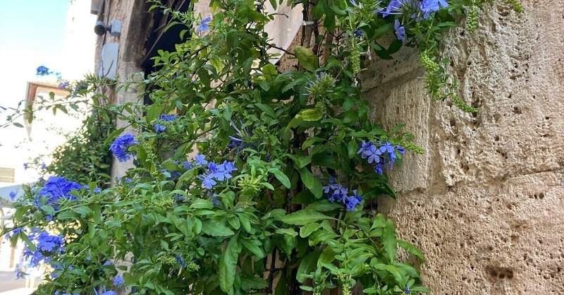 はじめまして。｜Mama Eri